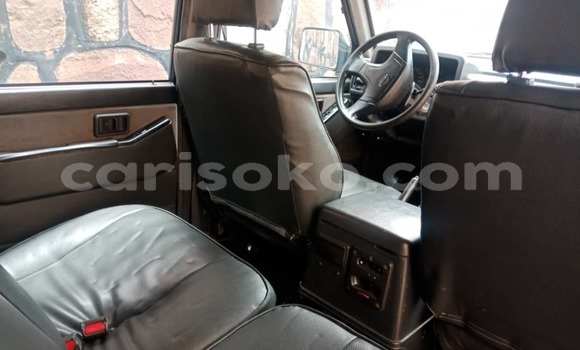 Buy used nissan safari blue car in kigali in rwanda - carisoko